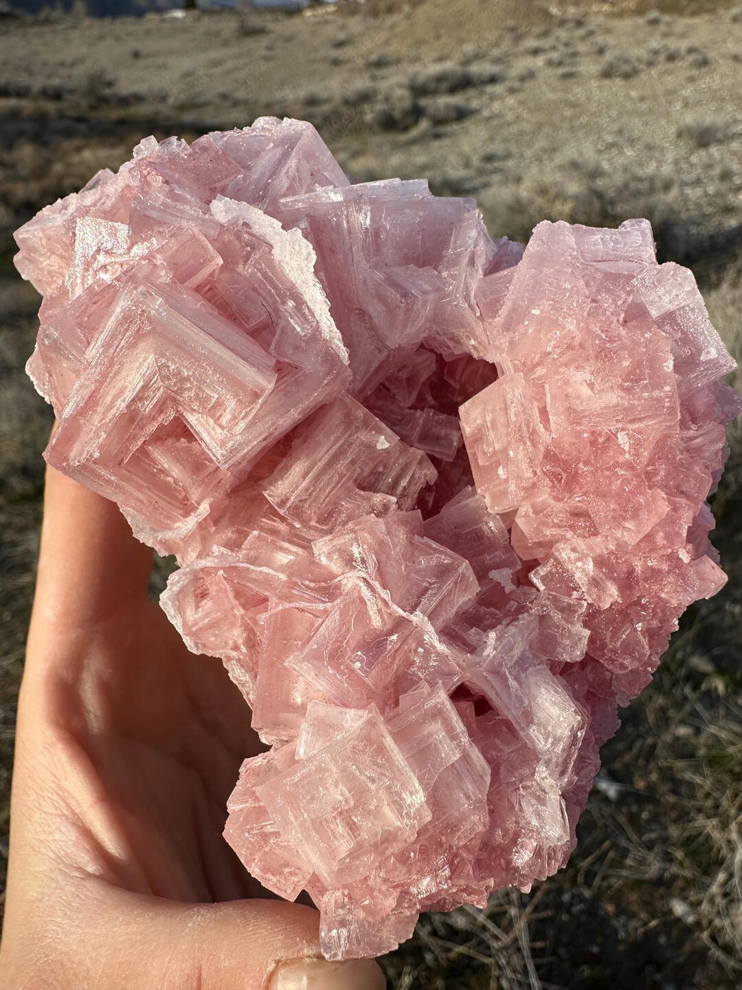 Pink Halite | Halite Cluster | Halite From Trona | Halite Crystal ...