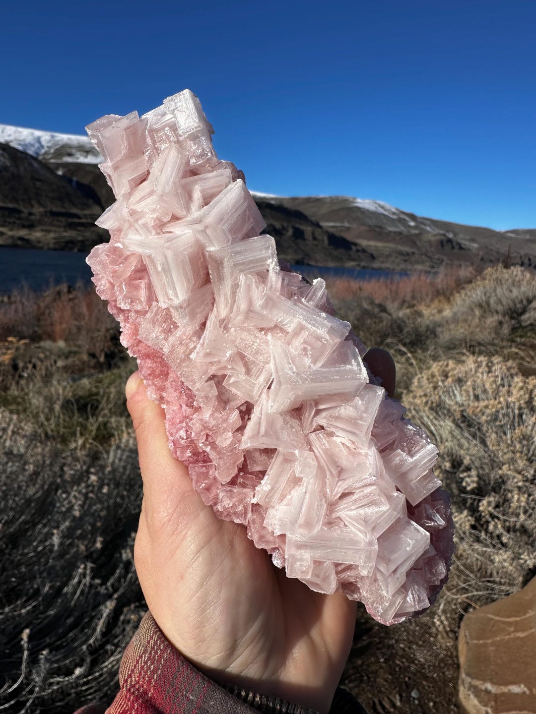Pink Halite Halite Cluster Halite From Trona Halite Crystal Halite ...