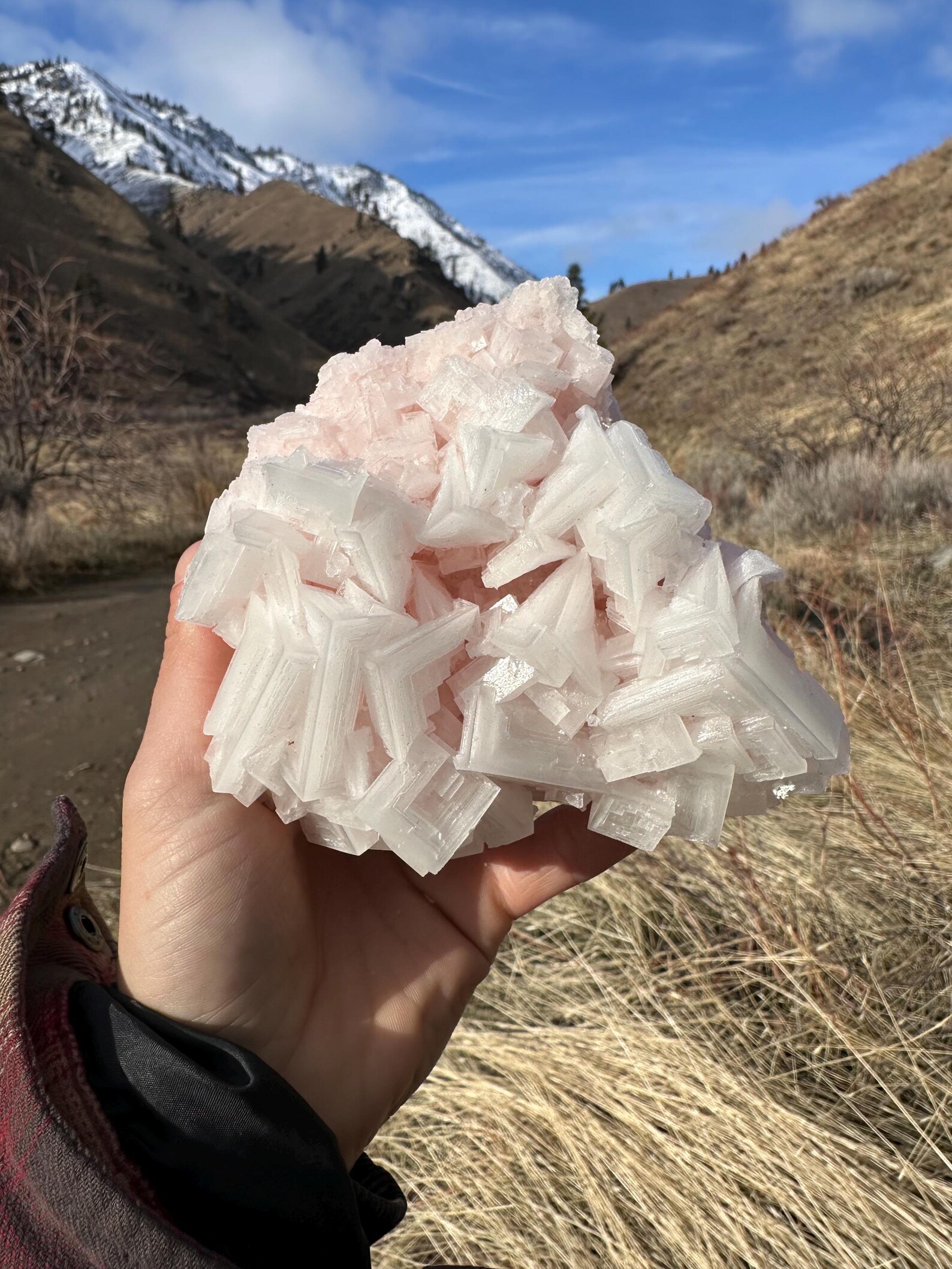Pink Halite Halite Cluster Halite From Trona Halite Crystal Halite ...