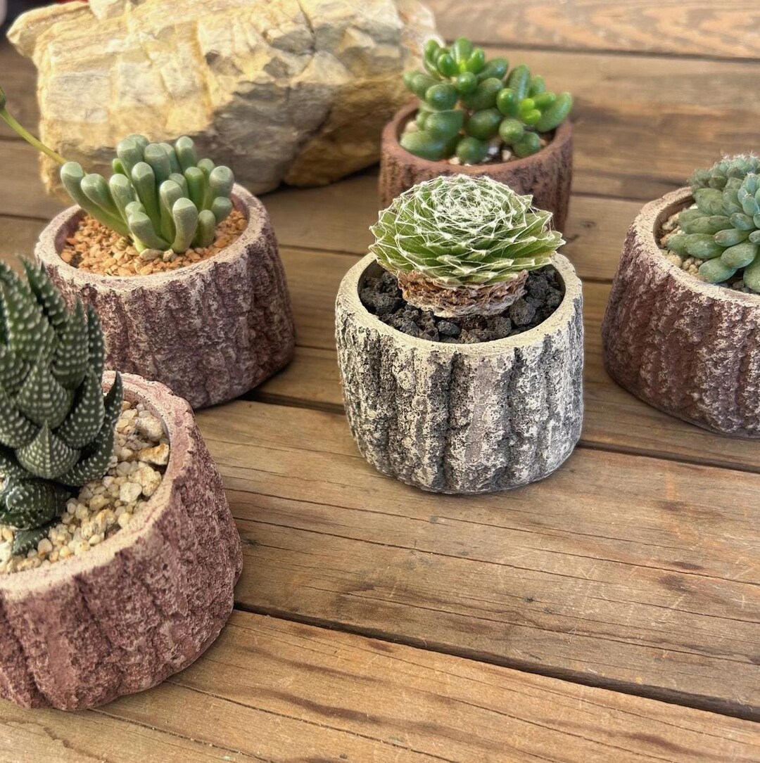 Small Trunk Tree Trunk Pot - Hand Painted Bark Planter or Decoration ...