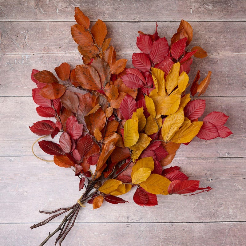 FlowerStudioShop - Etsy UK