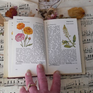 Observer's Book of Garden Flowers Complied by David Pycraft - Etsy