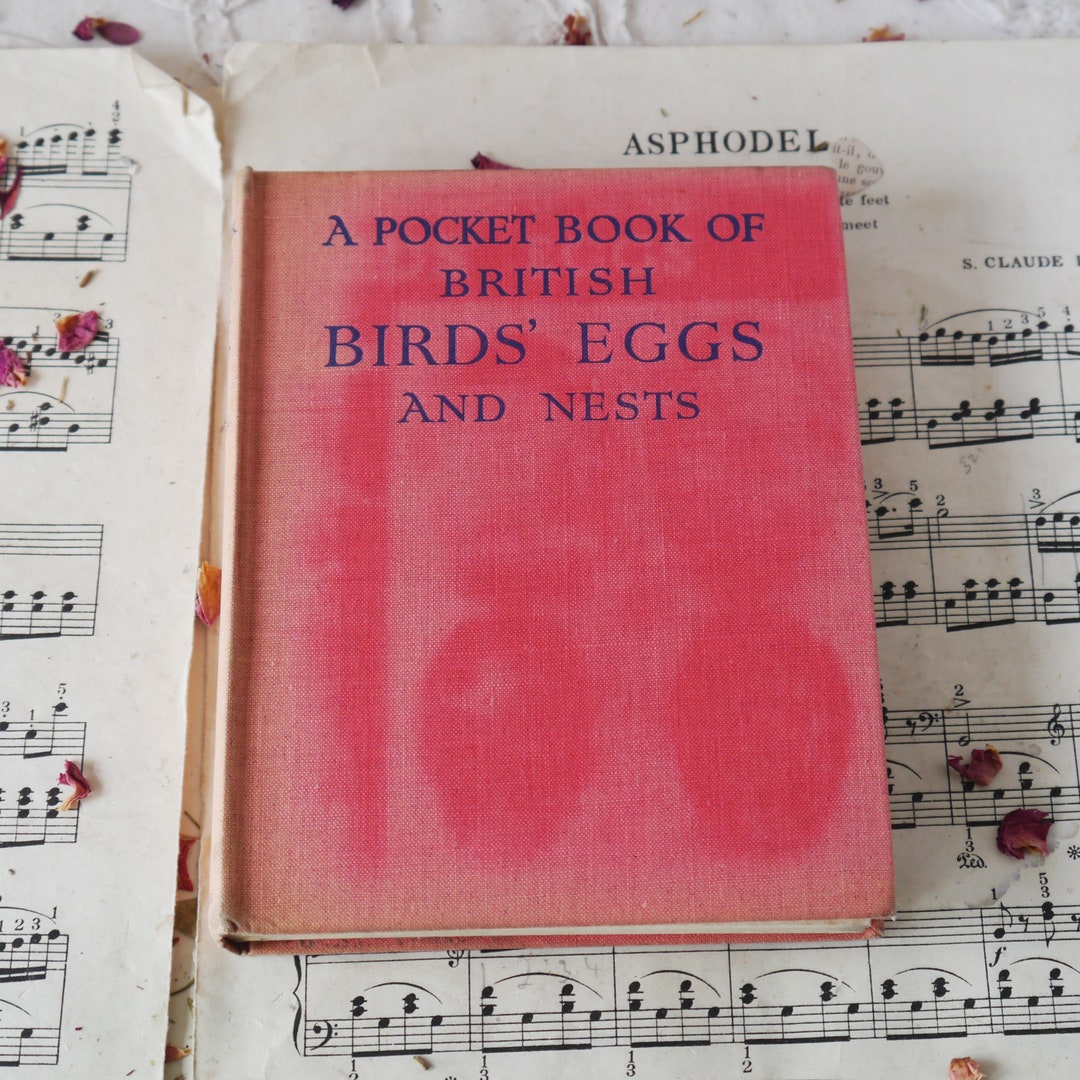 Vintage Book British Bird Eggs and Nests by Charles A. Hall - Etsy
