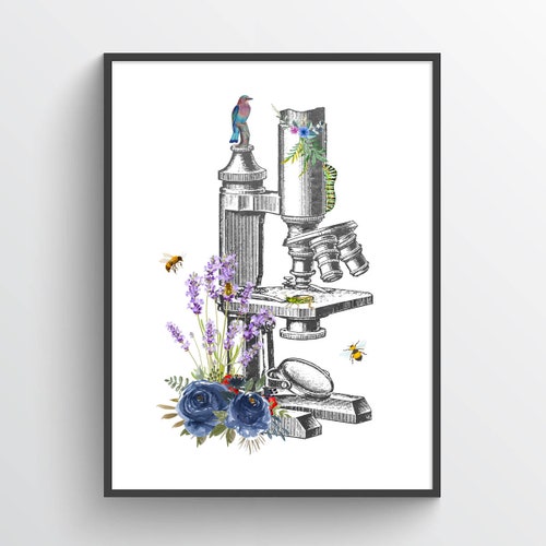 Microscope Art Print Medical Decor Science Art Biology Art - Etsy