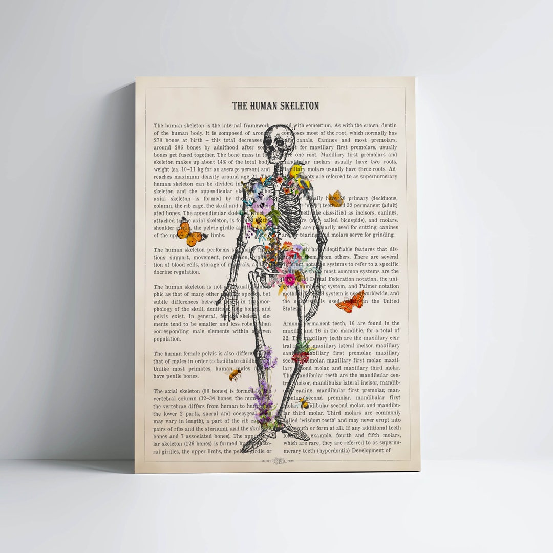 Skeleton Anatomy Print, Human Body Flower Art, Doctor Office Decor ...