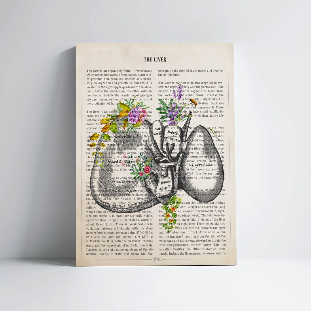 Liver Anatomy Flower Print, Hepatologist Gift, Gastroenterologist ...