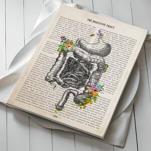 Digestive Tract Anatomy Flower Print, Intestine, Stomach Art, Medical ...