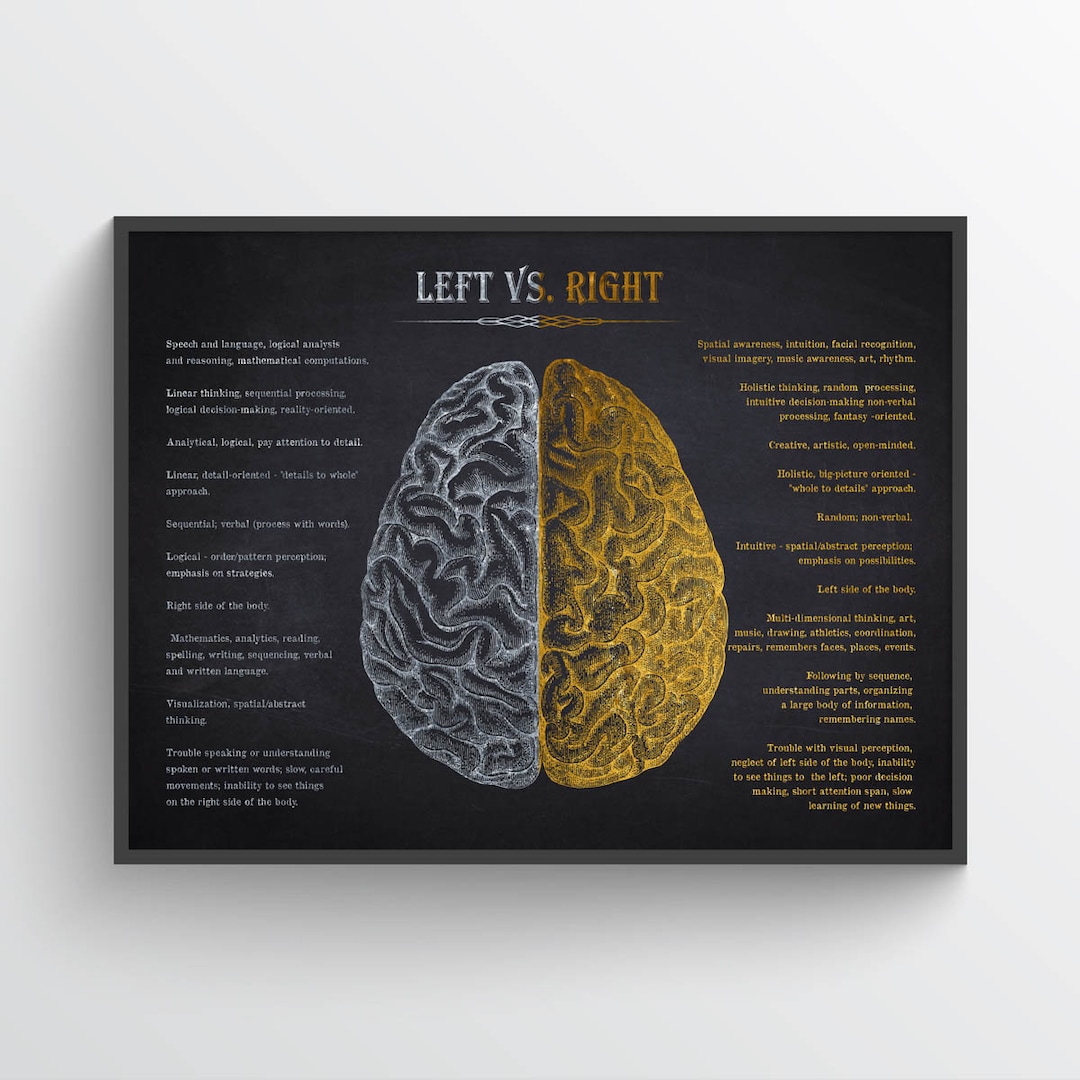 Left VS Right Brain Function Anatomy Print, Psychology, Classroom ...