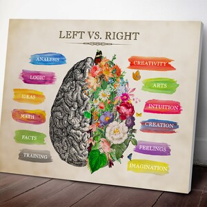 Left Versus Right Brain Function Anatomy Print, Psychology, Neurologist ...
