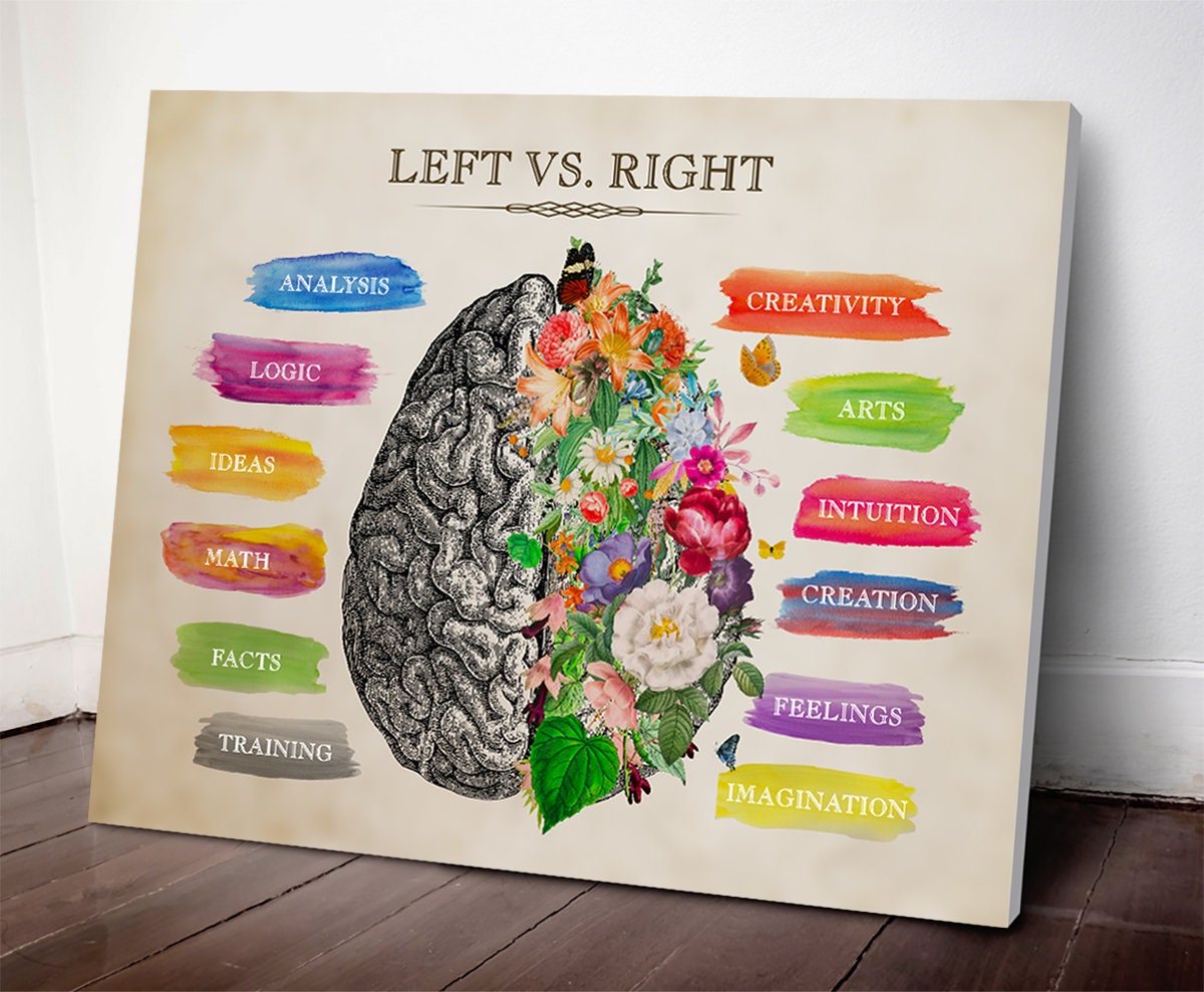 Left Versus Right Brain Function Anatomy Print, Psychology, Neurologist ...