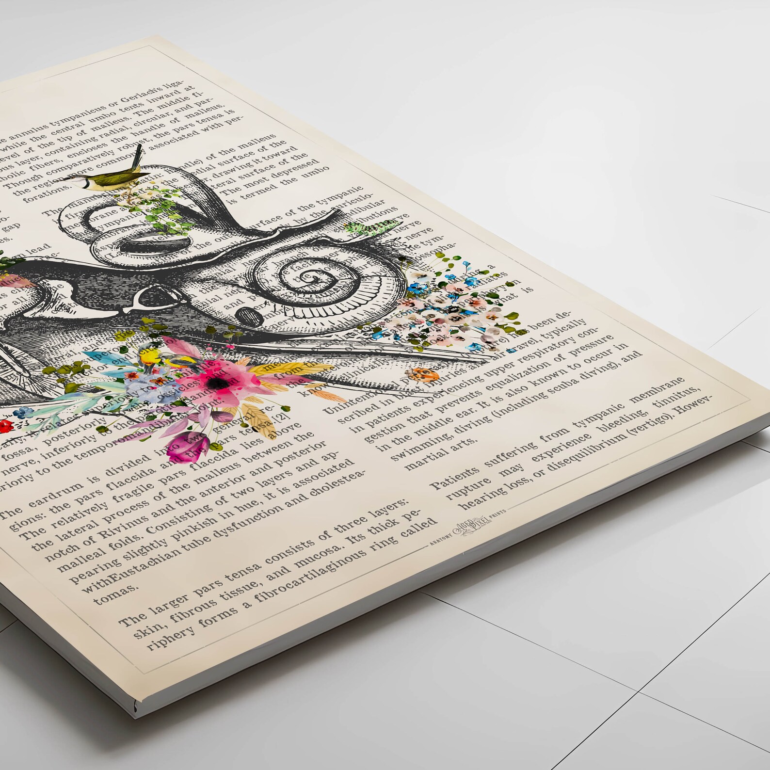 Eardrum Anatomy Flower Print, Tympanic Membrane Art, AUD, Audiology ...