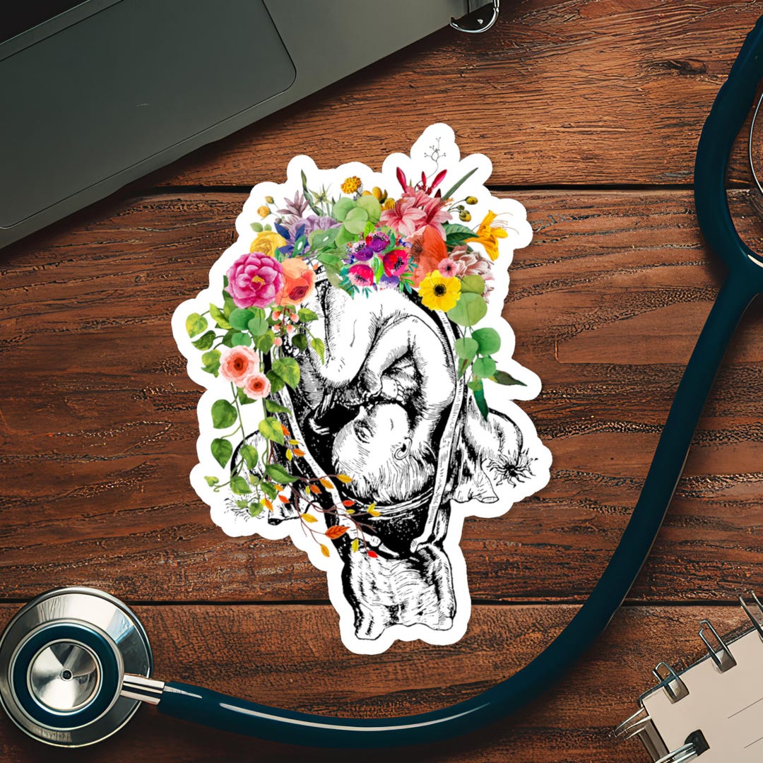 Fetus Anatomy Sticker for Obstetrician Gift Idea Gynecologist ...