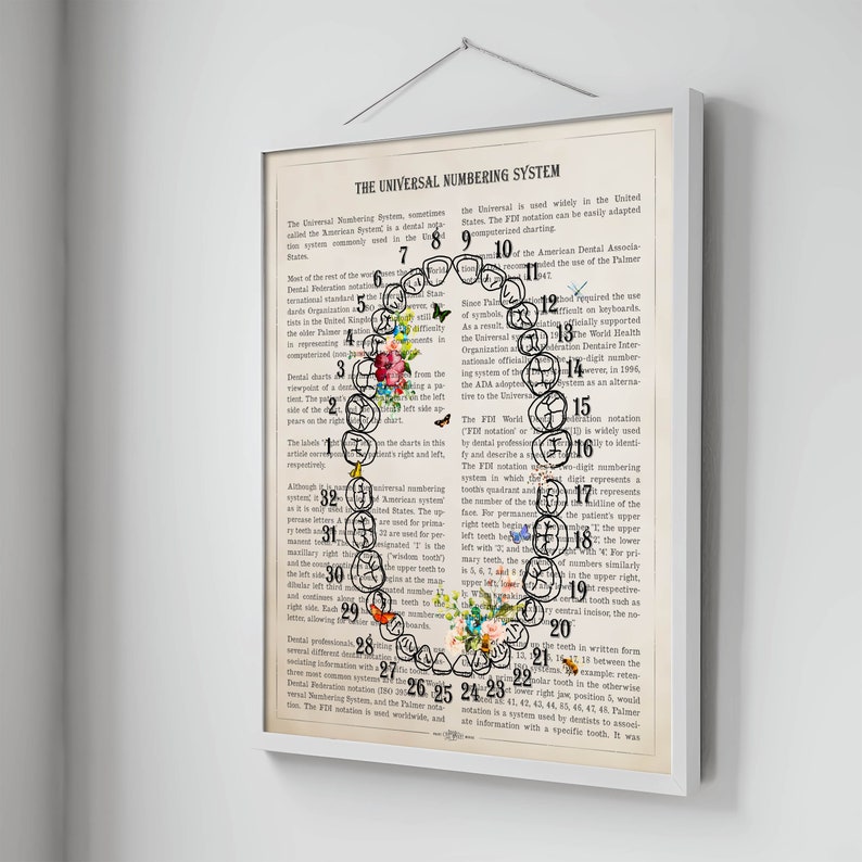 Universal Numbering System With Flower Print, Dental Art, Gifts for ...