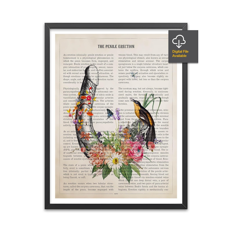 Penis Erection Art Etsy 9261
