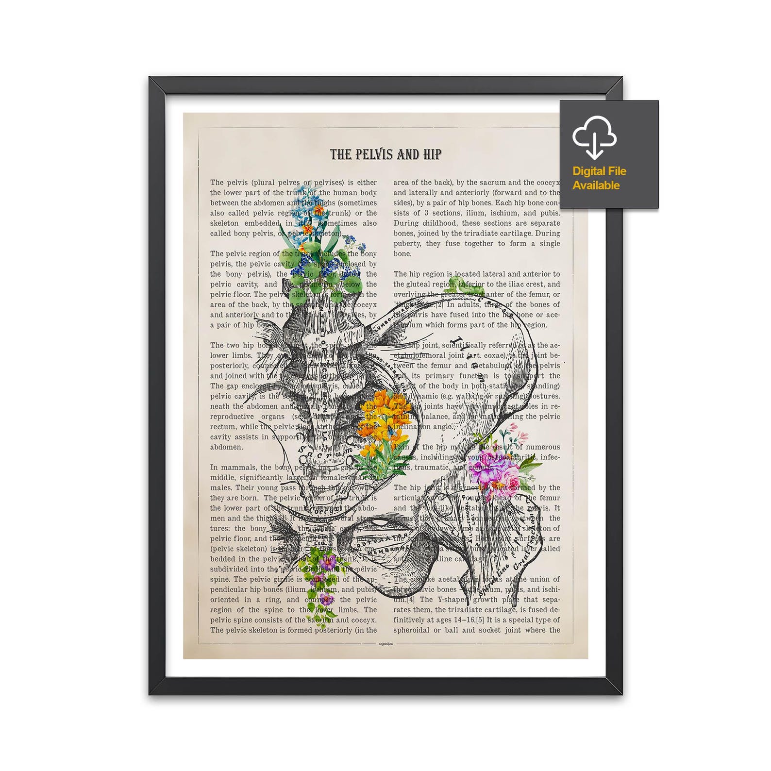 Pelvis and Hip Anatomy Flower Print, Physical Therapy Gift ...