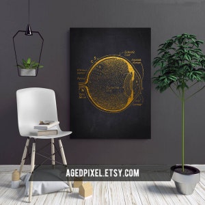 Human Eye Anatomy Print, Gift for Ophthalmologist, Decor for Optometrists, Optometry Eye Art ...