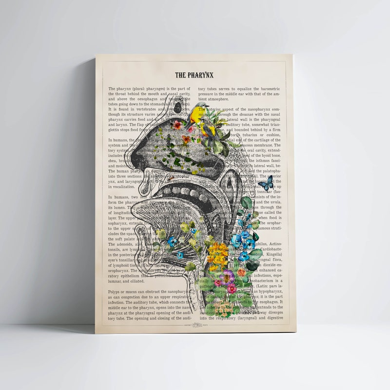 Speech Anatomy Art - Etsy