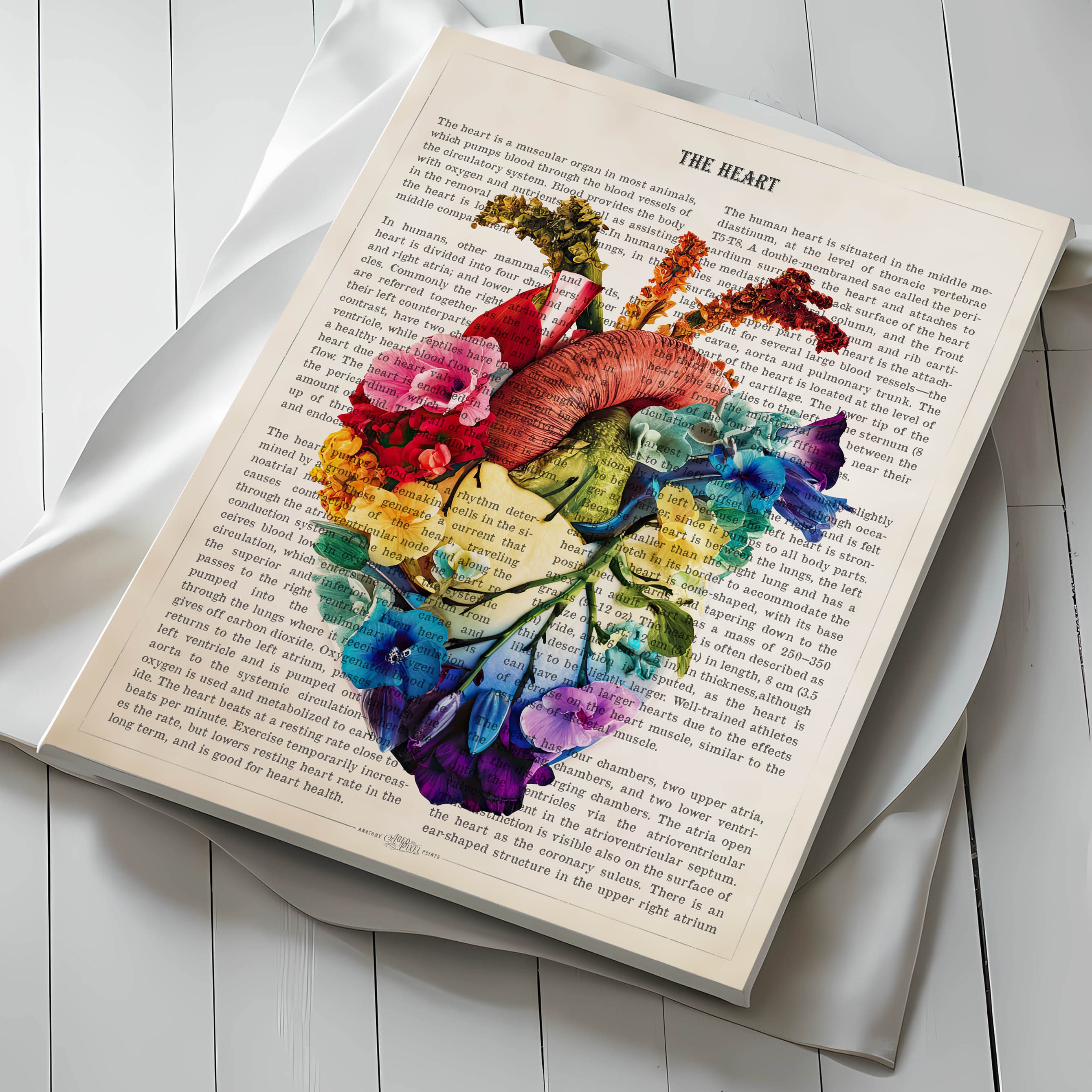 Heart Anatomy Print, Medical Poster, Cardiologist Gift Idea, Cardiology ...