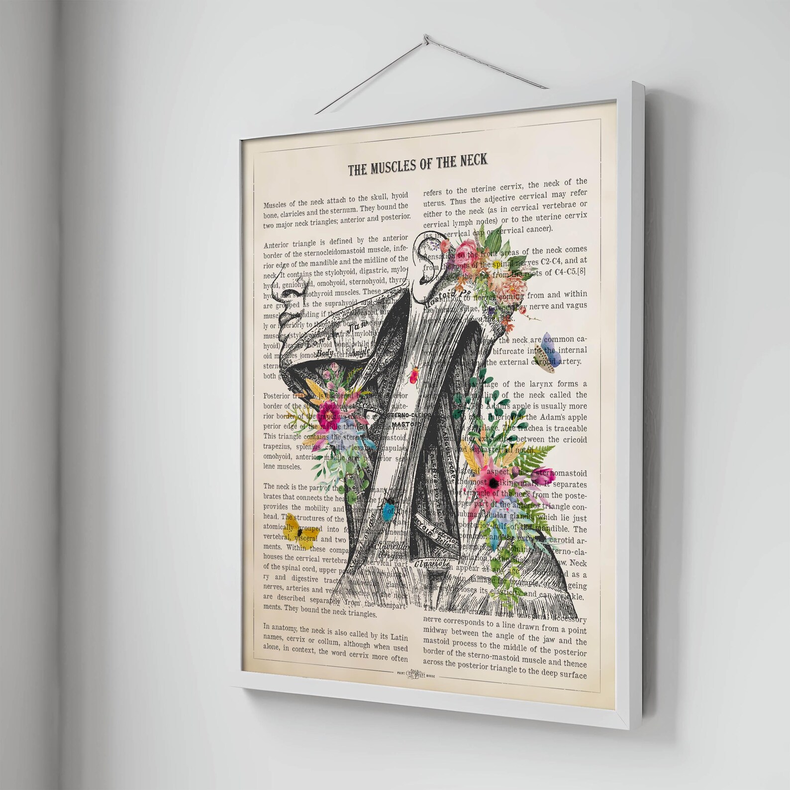 Muscles of the Neck Anatomy Print, Chiropractor Gift, Licensed Massage ...