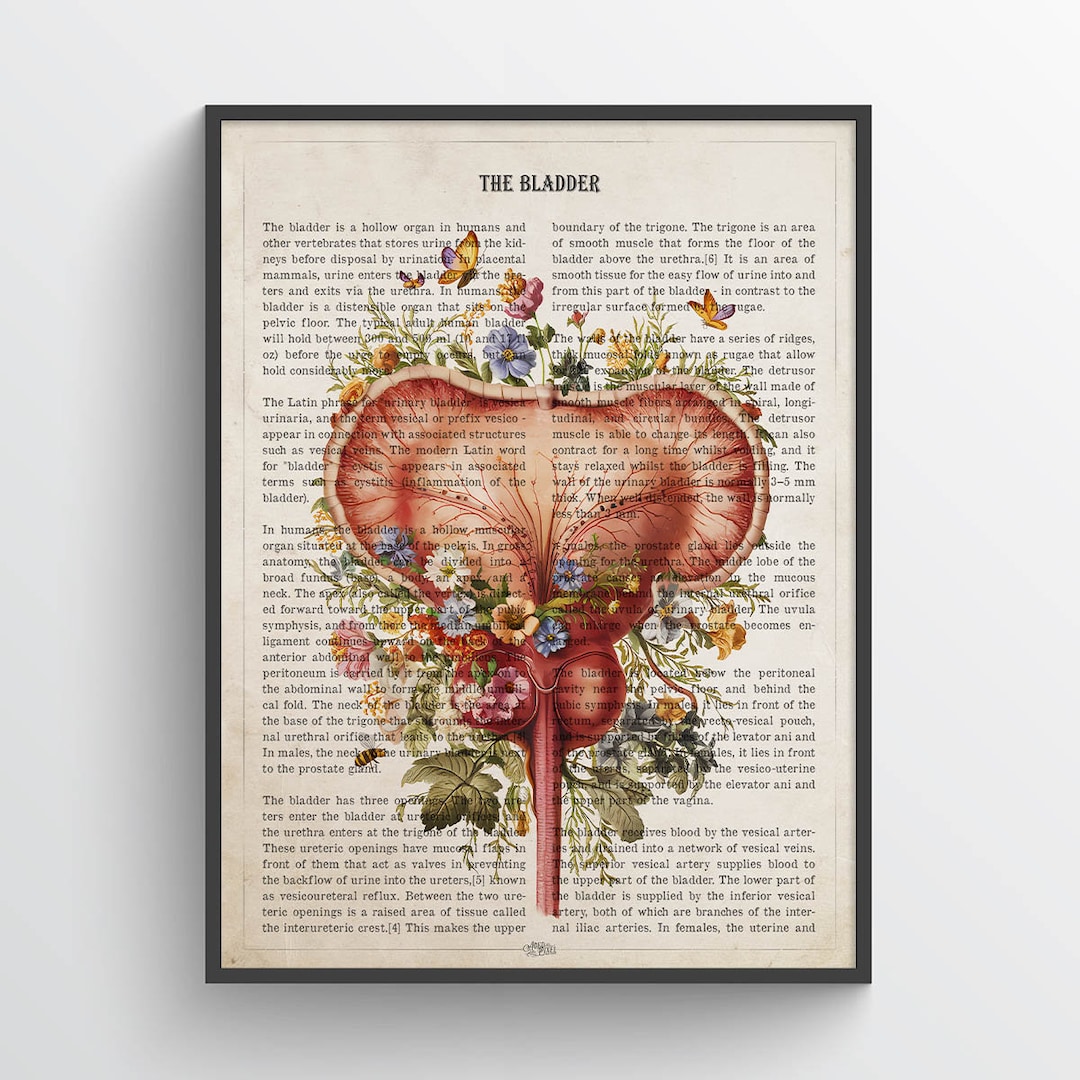 Bladder Anatomy Flower Print, Urinary System Clinic Decor, Gift for ...