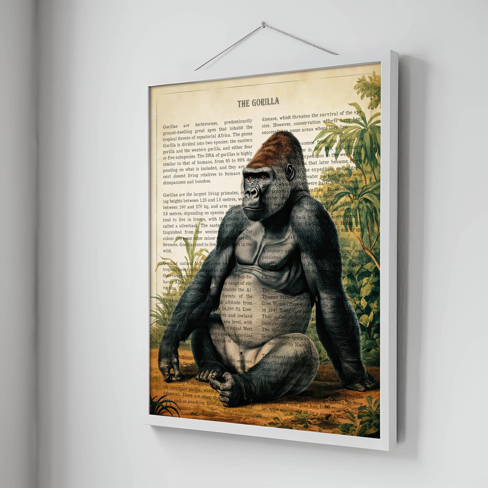 Gorilla Poster, Monkey Print, Safari Animals, Ape Art, Antique Natural ...