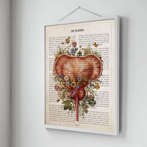 Bladder Anatomy Flower Print, Urinary System Clinic Decor, Gift for ...