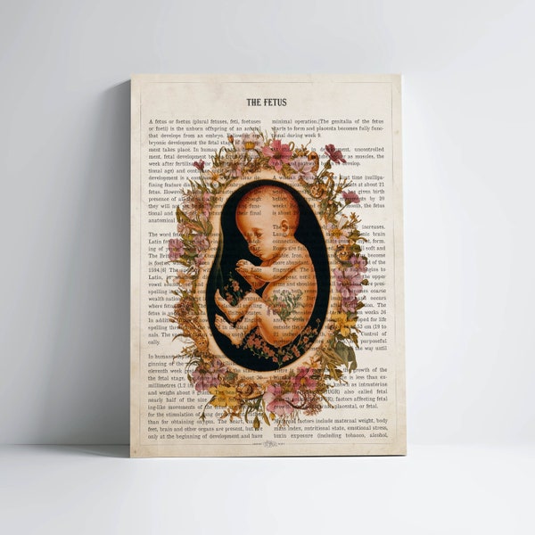 Fetus Art - Etsy