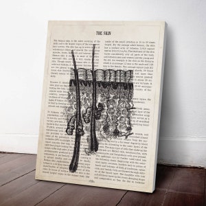 Skin Anatomy Print, Dermatologist Gift, Dermatology Skin Care ...