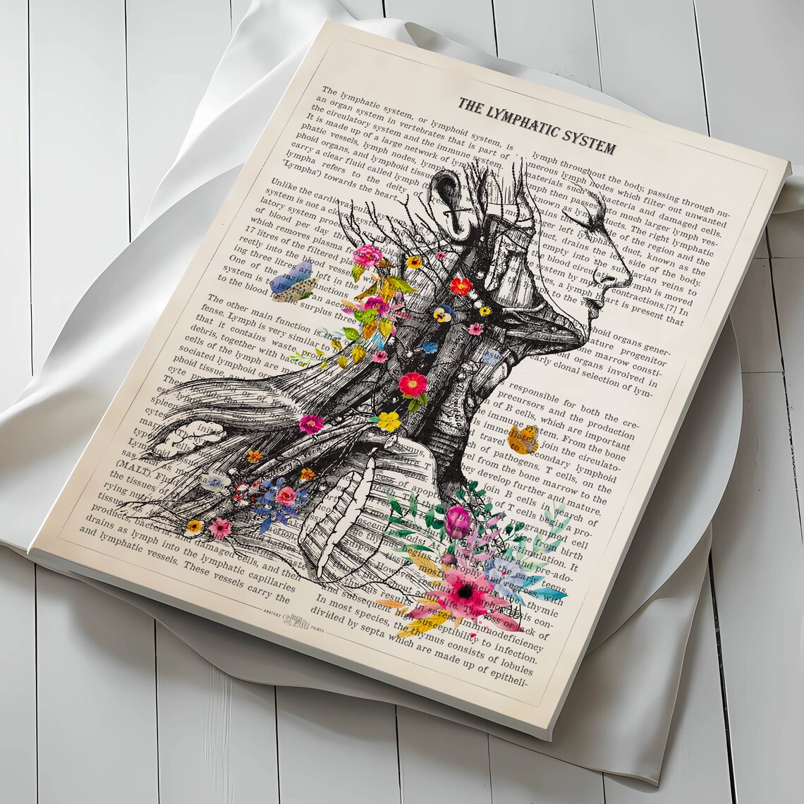 Lymphatic System Anatomy Print, Endocrinology Print, Lymph Nodes ...