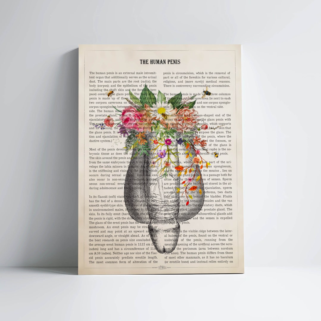 Penis Anatomy Flower Print, Andrologists Gift, Urologists Student ...