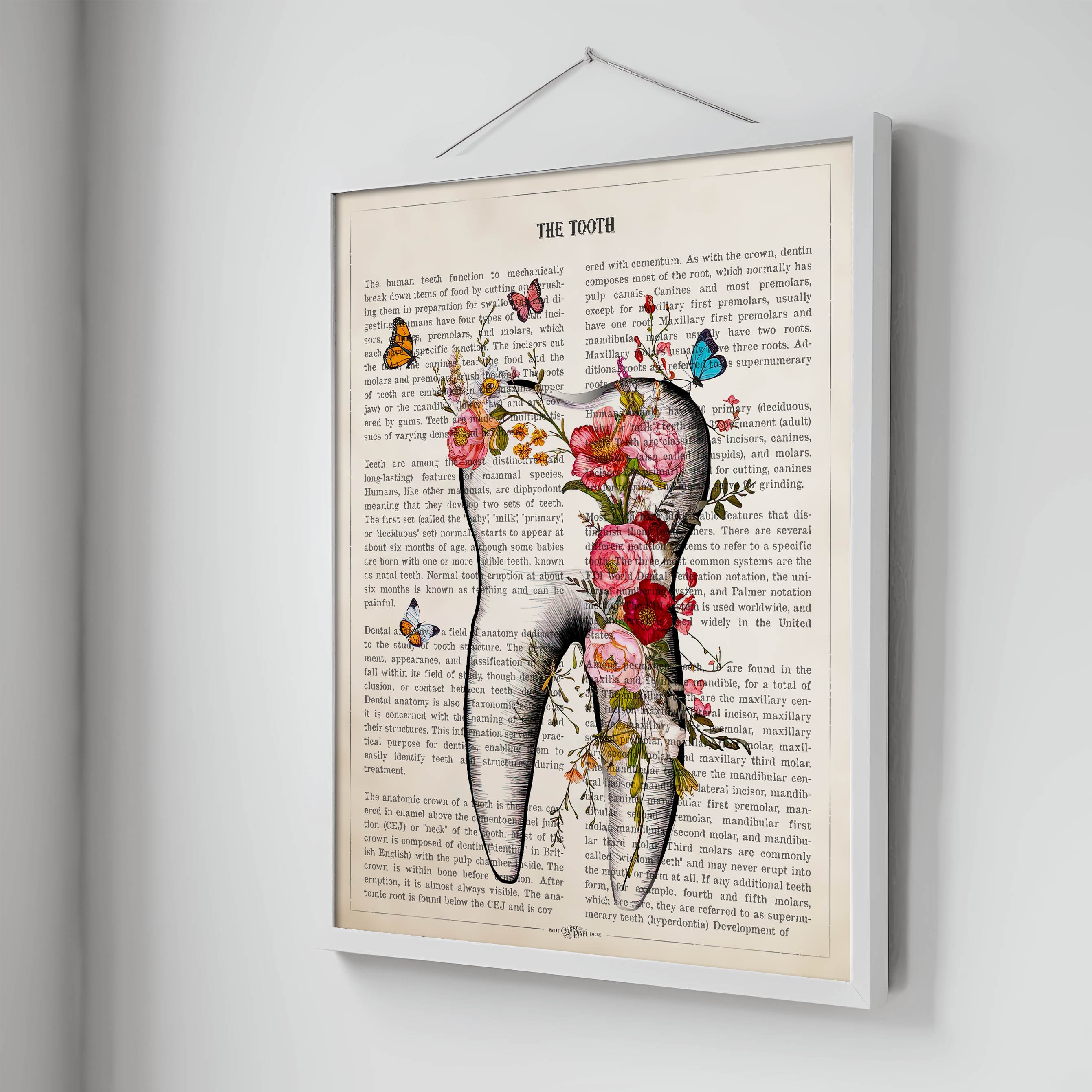 Tooth Anatomy With Flower Print, Dental Art, Gifts for Dentist Student ...