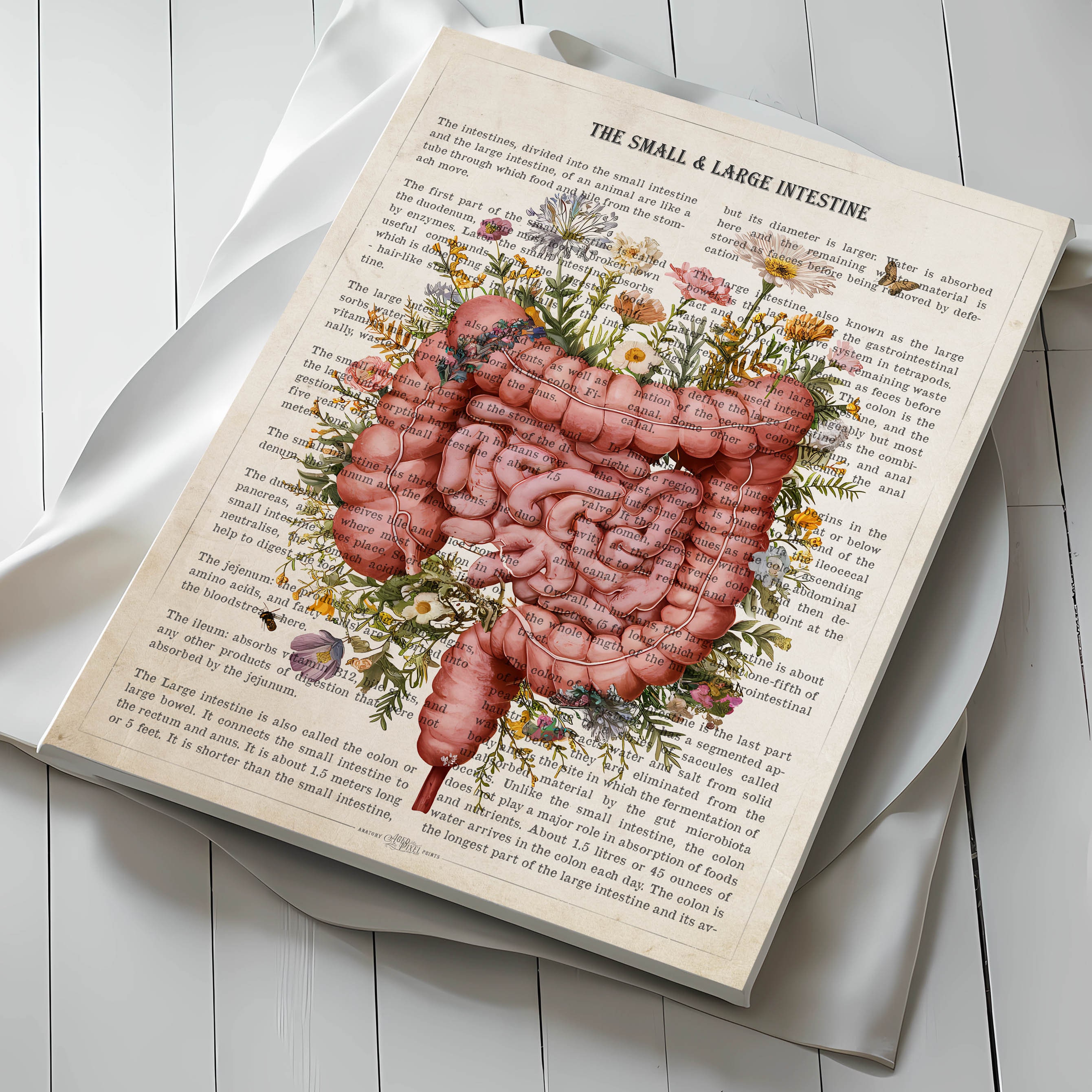 Intestine Anatomy Flower Print, Gastroenterologist Gift, Small ...