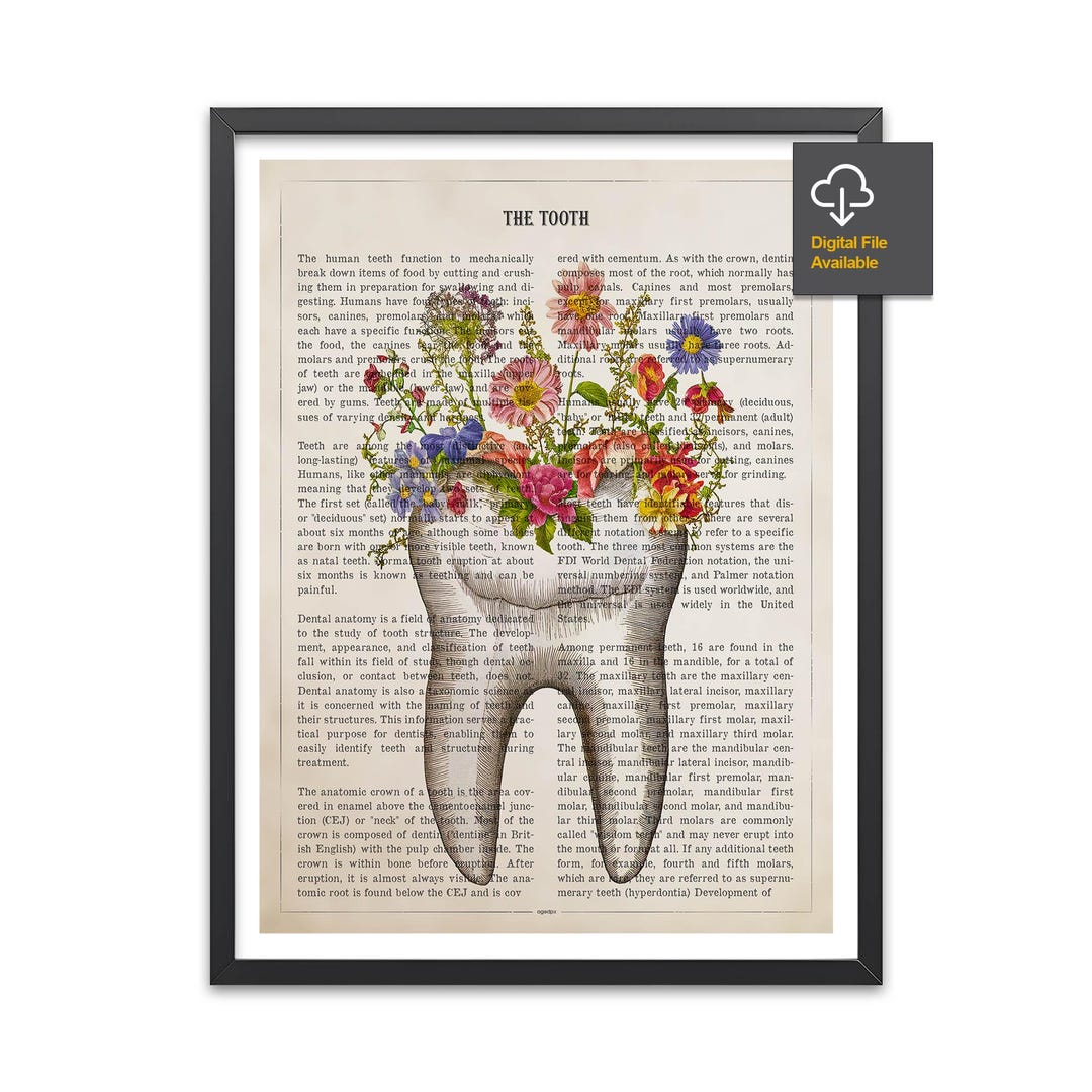 Tooth Anatomy With Flower Print, Dental Art, Gifts for Dentist Student ...