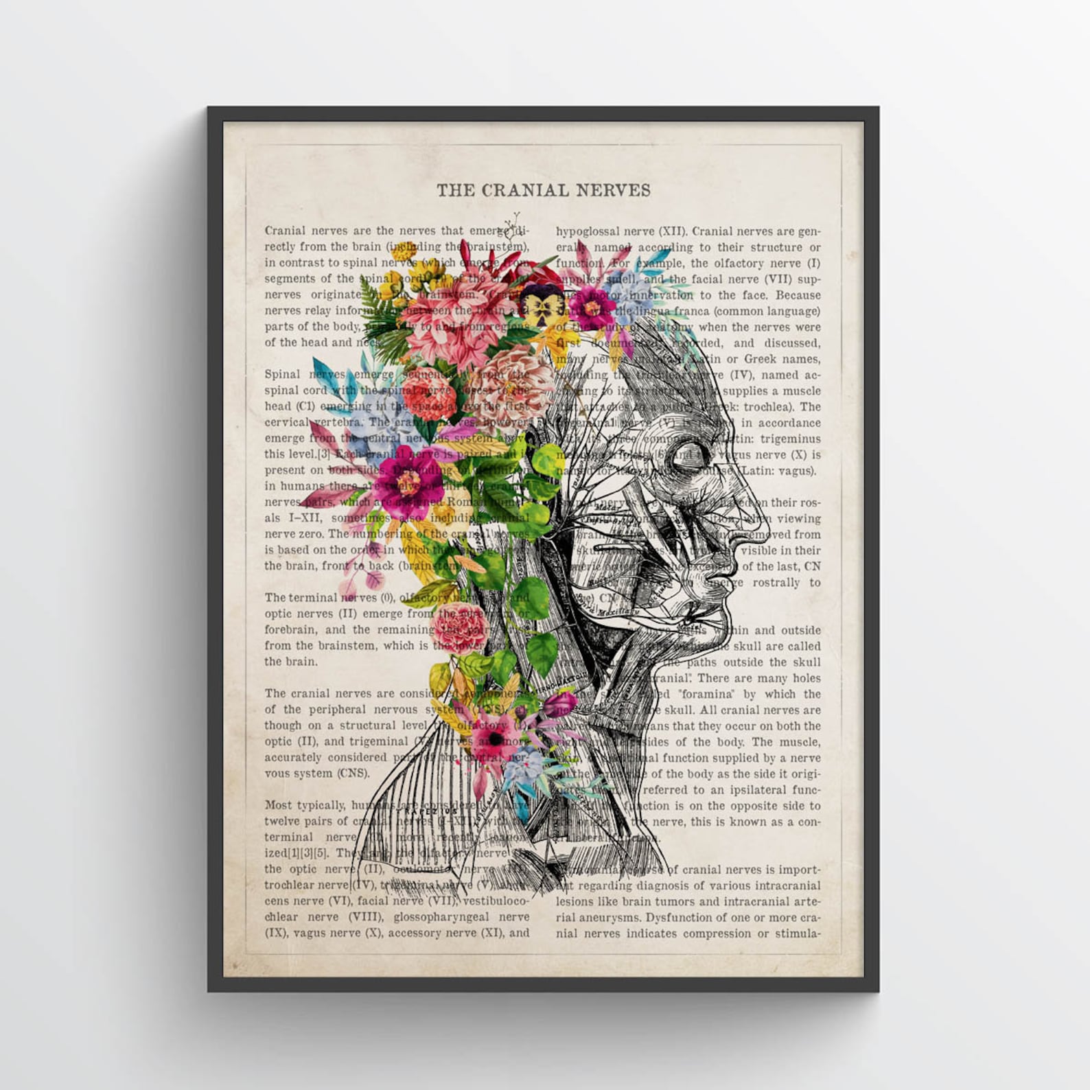 Cranial Nerves Flower Anatomy Print, Medical Poster, Neurologist Gift ...