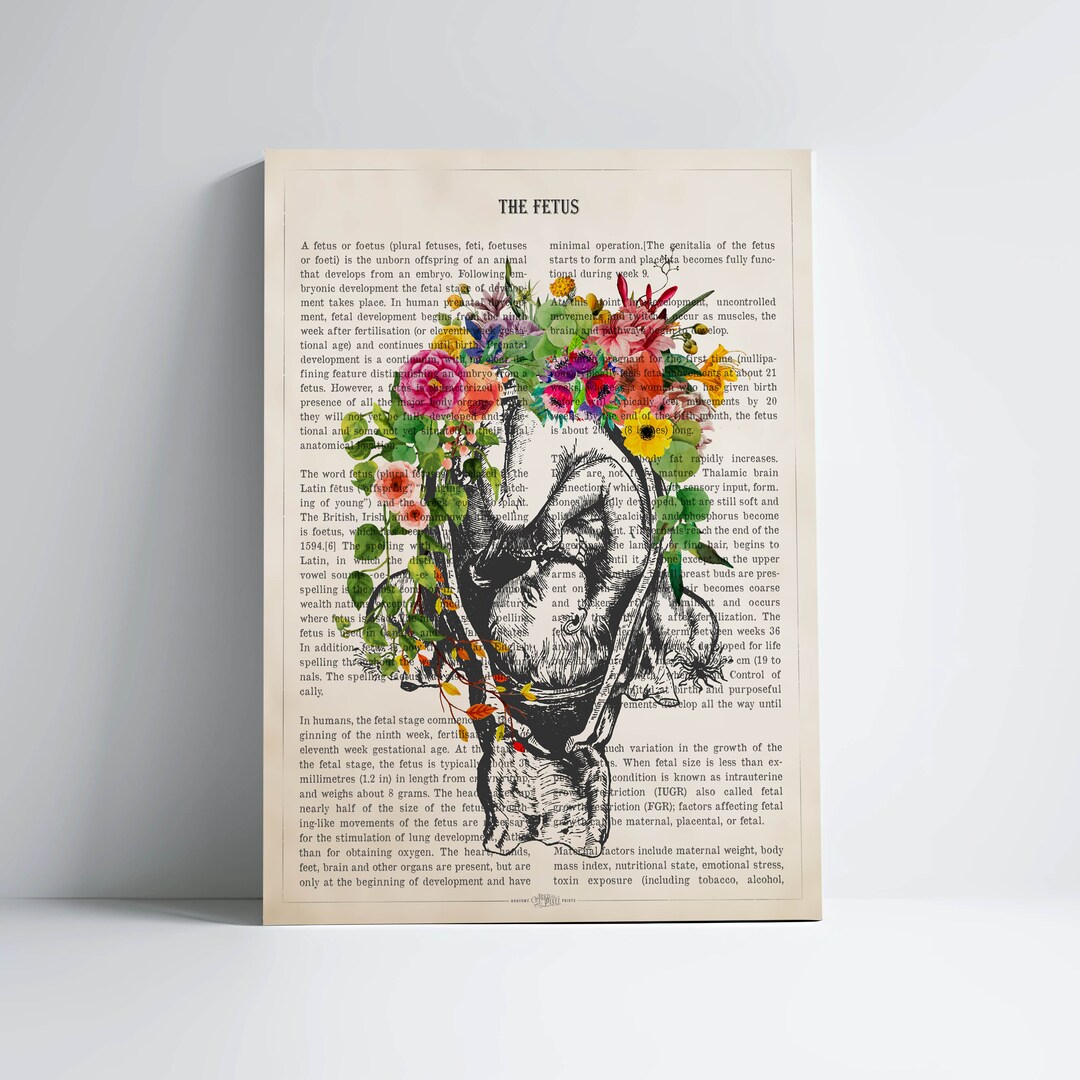 Fetus Anatomy Print for Gynecologist Anatomical Embryo With Flowers ...