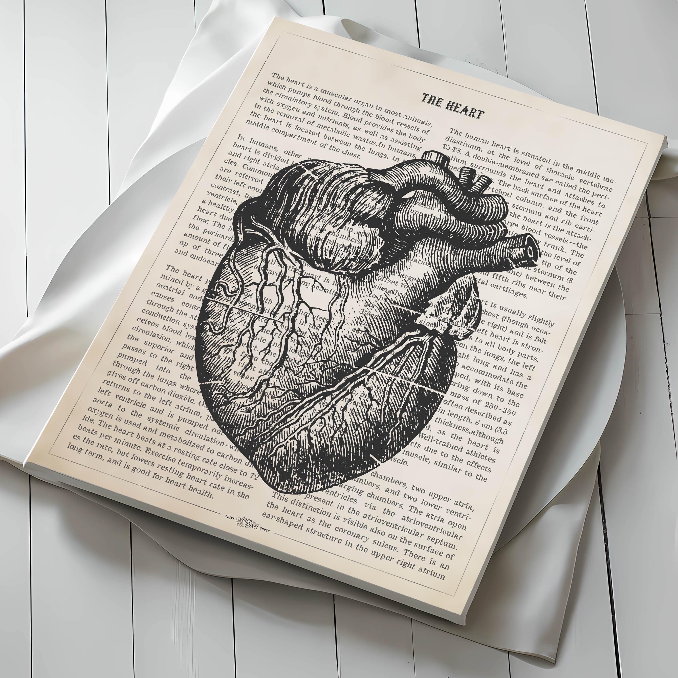 Human Heart Anatomy Print, Medical Poster, Cardiologist Gift Idea ...