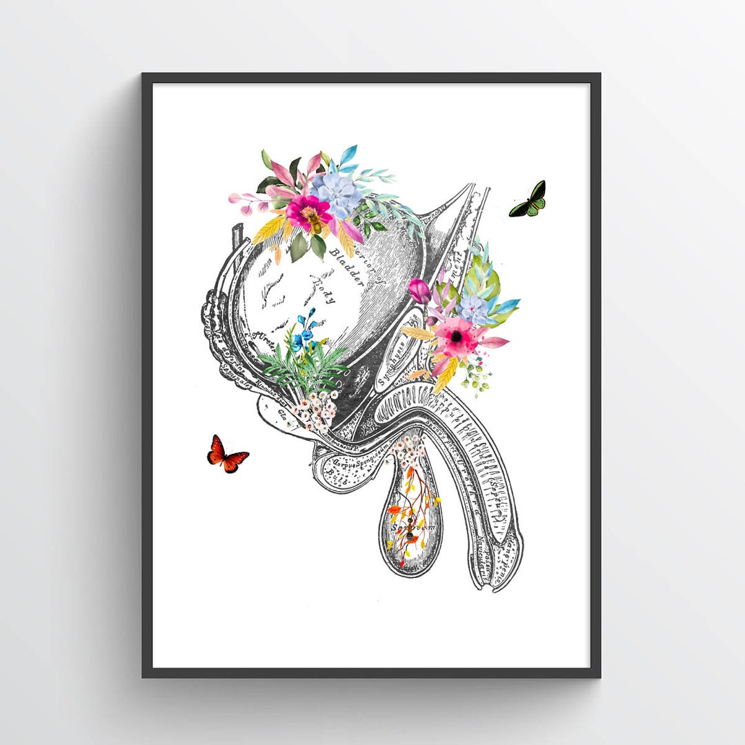 Penis Flower Anatomy Print, Male Genital Art, Andrologist Gift ...