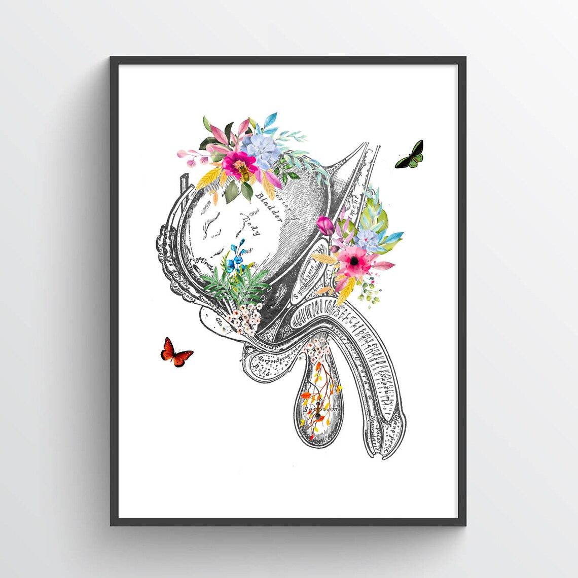 Penis Flower Anatomy Print Male Genital Art Andrologist - Etsy