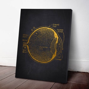 Human Eye Anatomy Print, Gift for Ophthalmologist, Decor for Optometrists, Optometry Eye Art ...