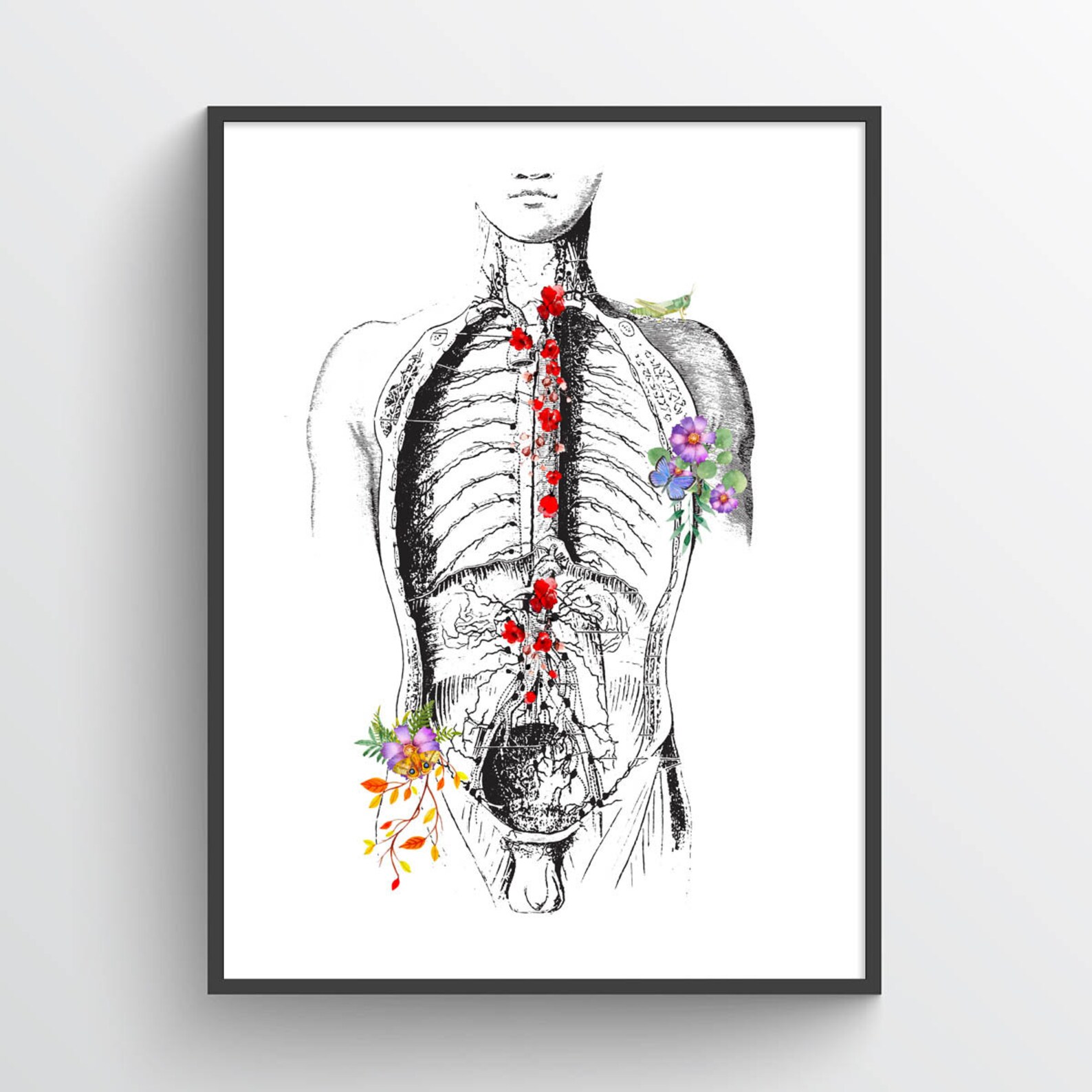 Lymph Glands of the Thorax Anatomy Print, Lymph Nodes Medical Decor ...