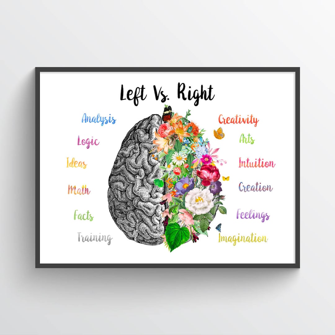 Left and Right Brain Function Anatomy Print, Psychology, Neurologist ...