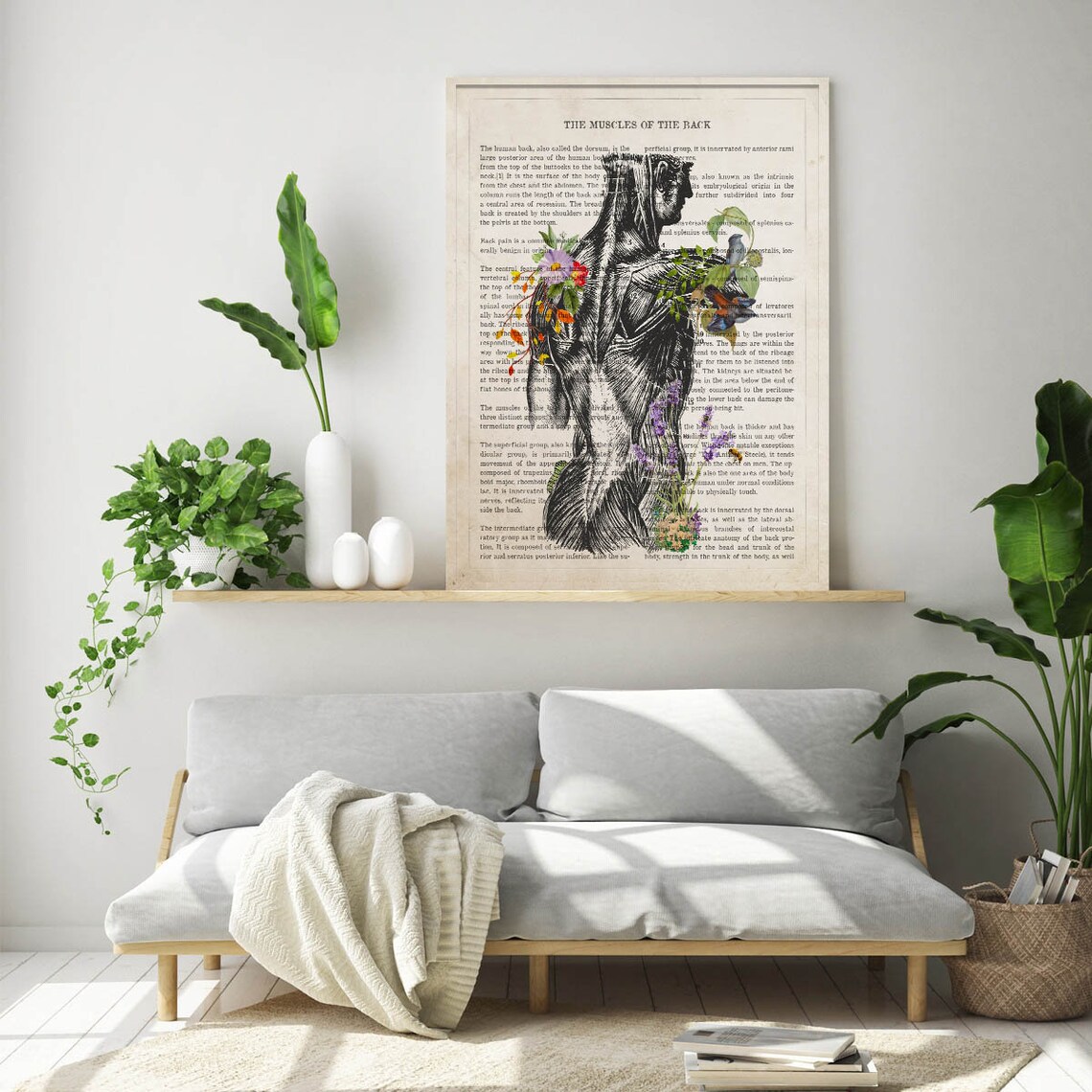 Muscles of the Back Anatomy Print Chiropractor Gift Licensed - Etsy