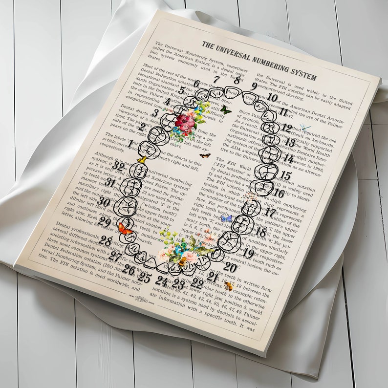 Universal Numbering System With Flower Print, Dental Art, Gifts for ...