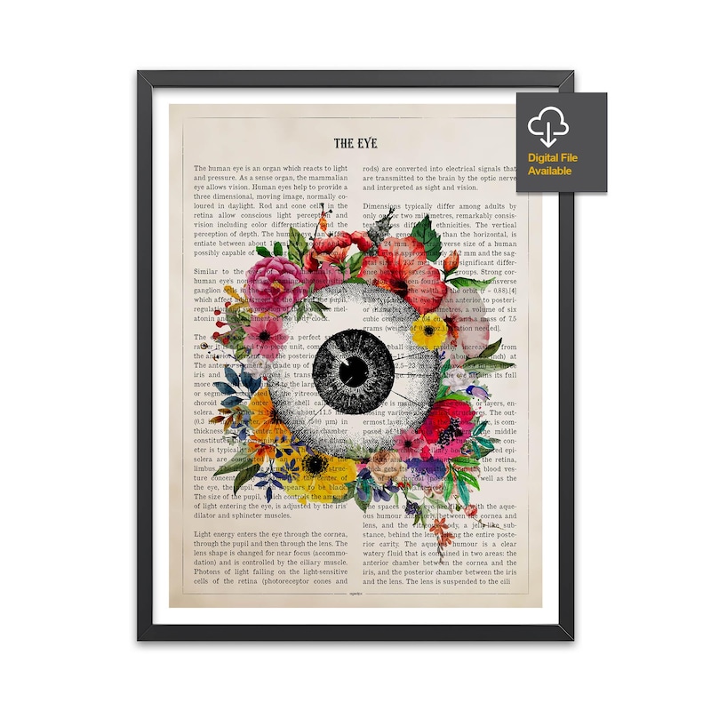 Optometry Wall Art - Etsy