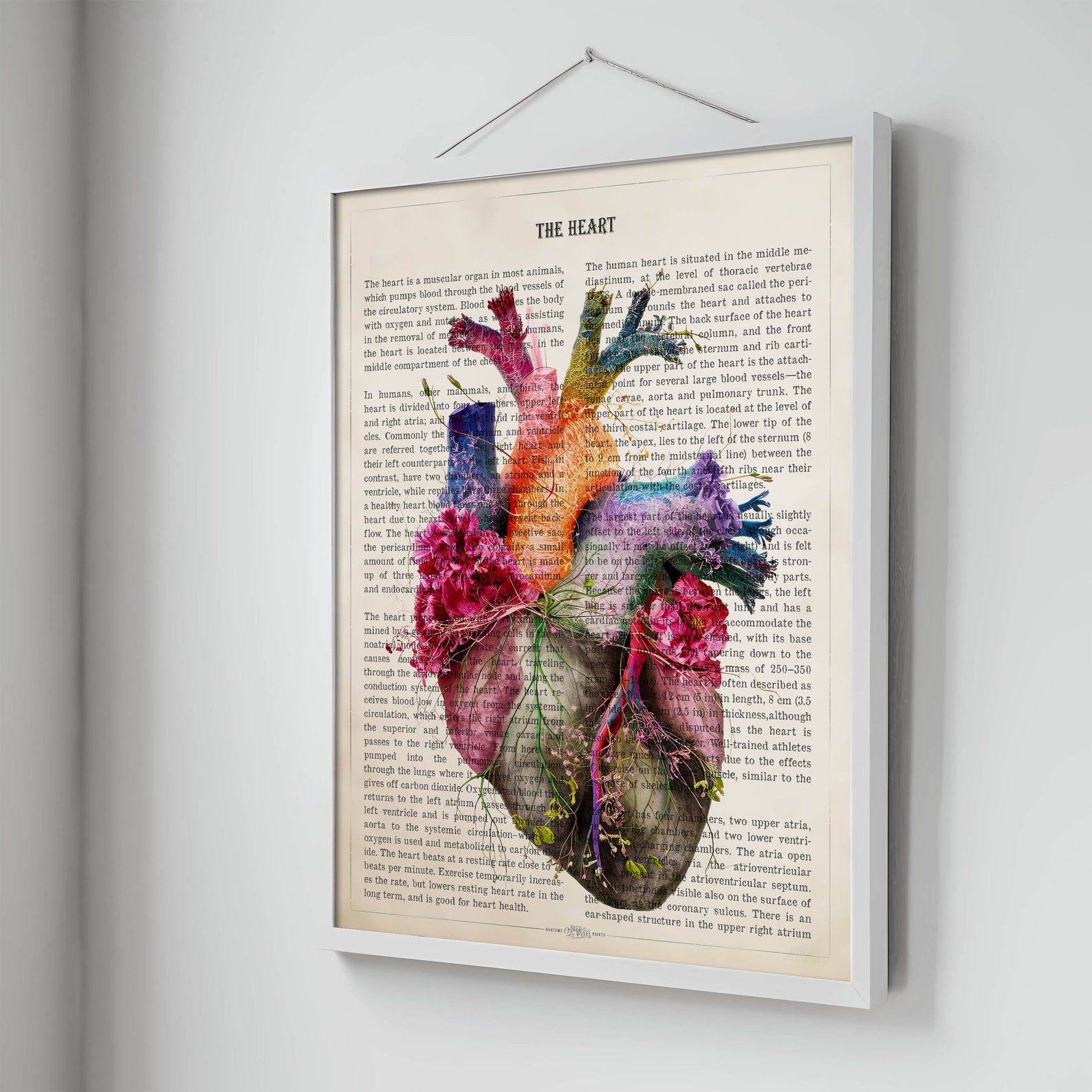 Heart Anatomy Print, Medical Poster, Cardiologist Gift Idea, Cardiology ...