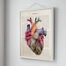Heart Anatomy Print, Medical Poster, Cardiologist Gift Idea, Cardiology ...