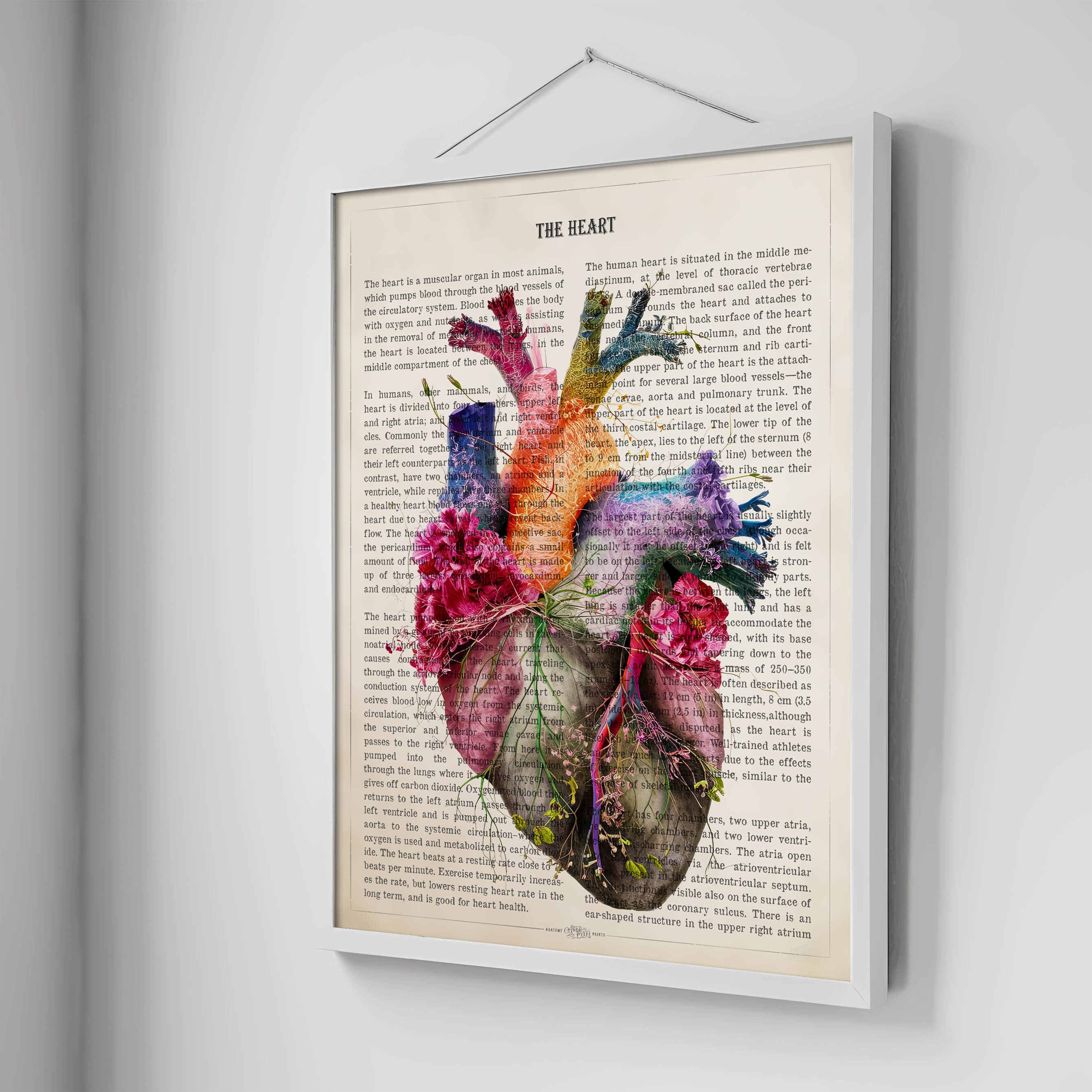 Heart Anatomy Print, Medical Poster, Cardiologist Gift Idea, Cardiology ...