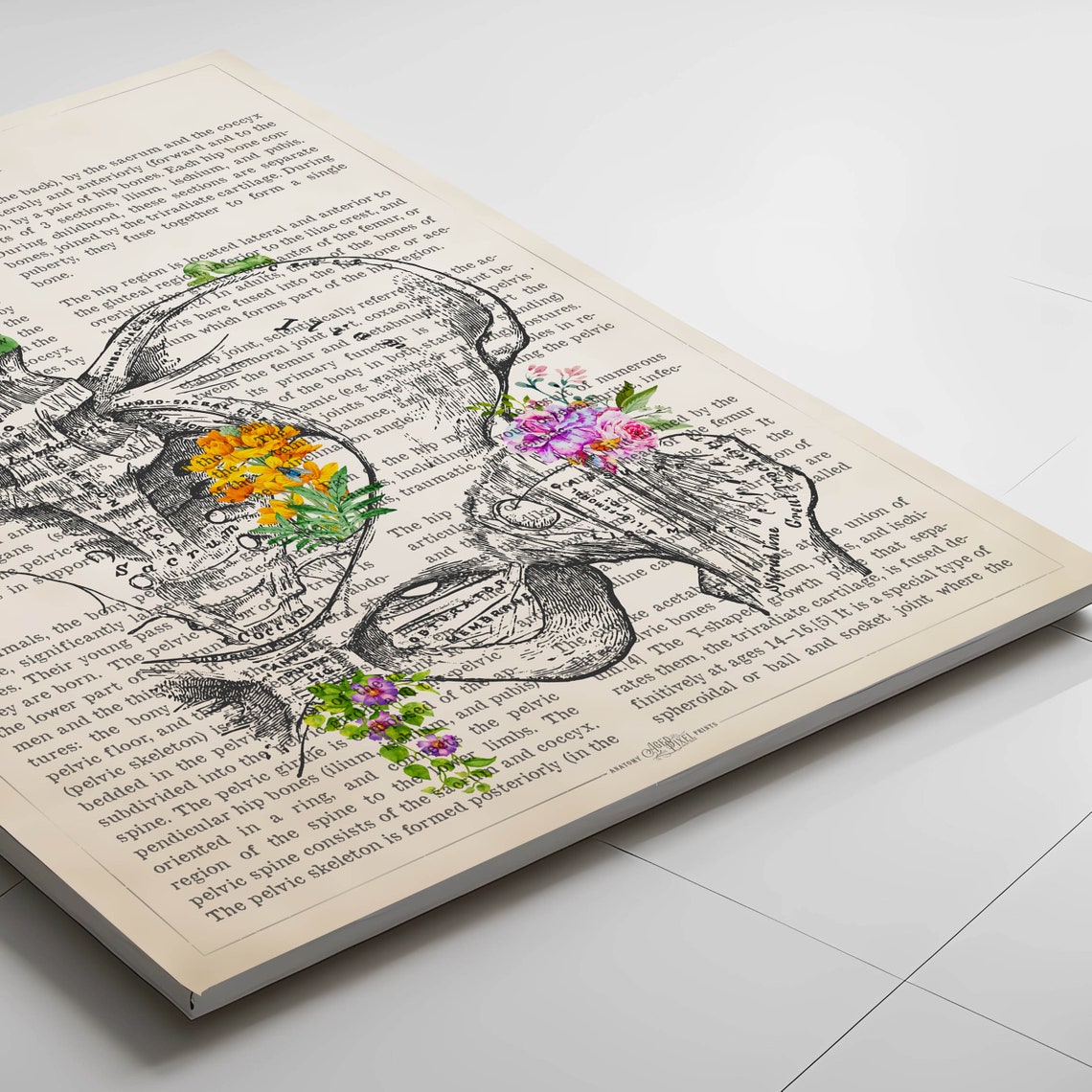 Pelvis and Hip Anatomy Flower Print, Physical Therapy Gift ...