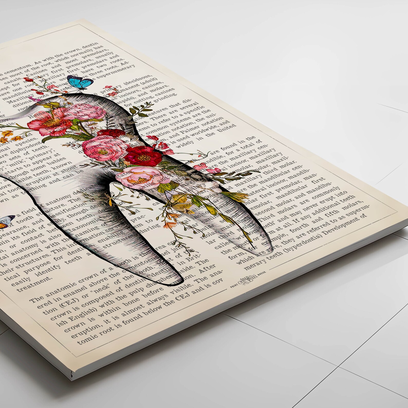 Tooth Anatomy With Flower Print, Dental Art, Gifts for Dentist Student ...