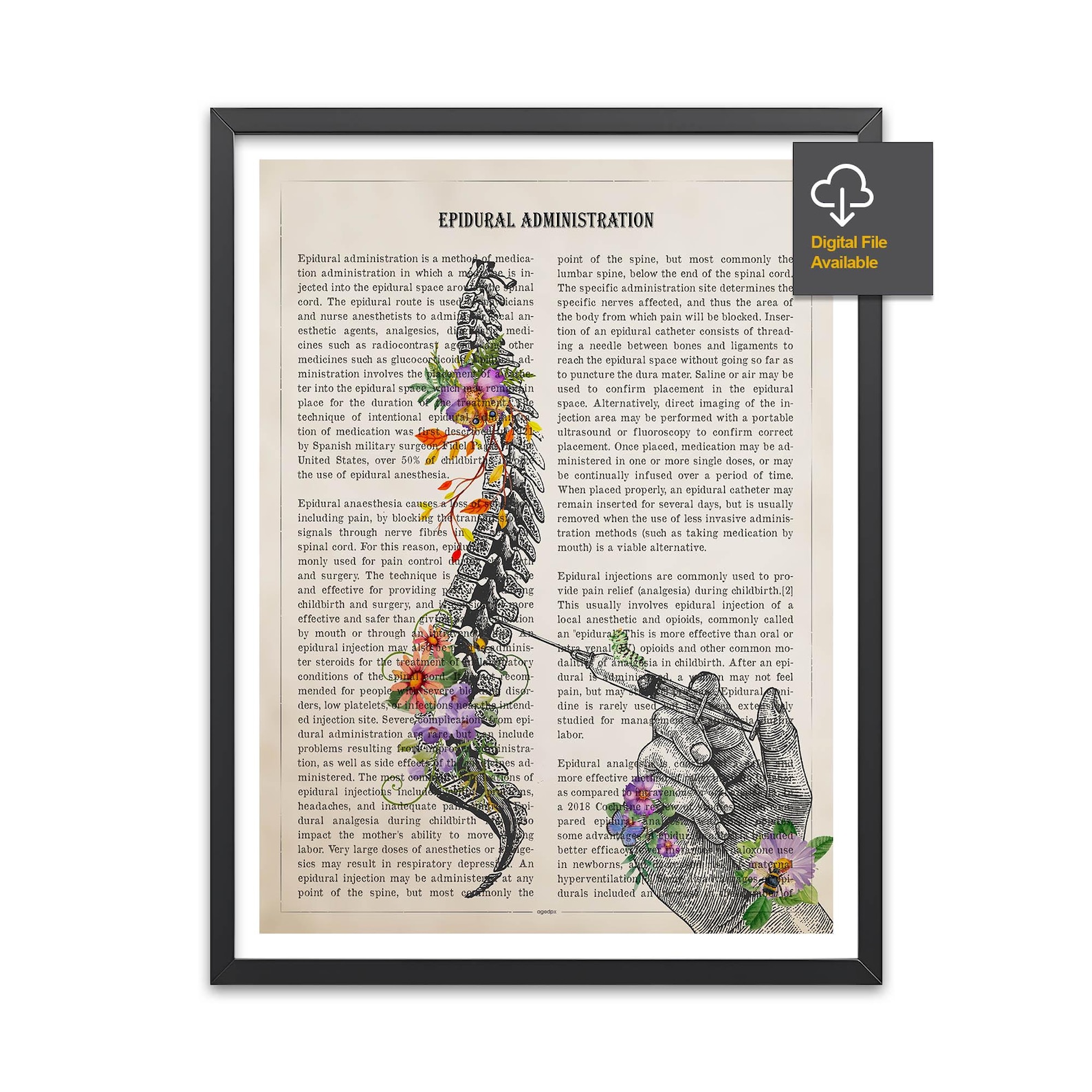 Epidural Anesthesia Flower Print, CRNA Gift, Anesthetist Graduation ...